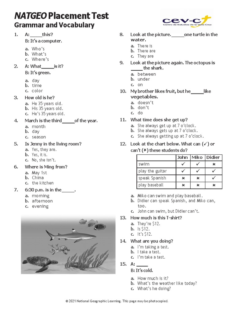Placement Test 6to Semestre | PDF