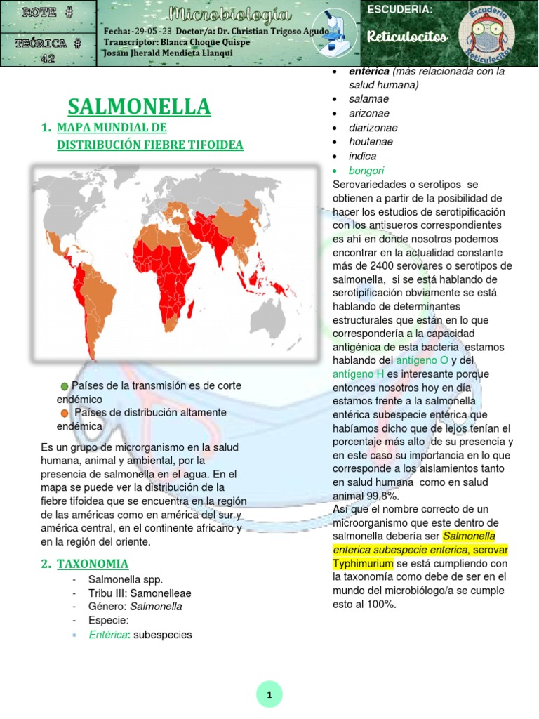 Salmonella: Reticulocitos | PDF | Salmonela | Medicina