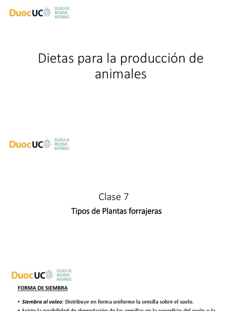 Clase 7 | PDF | Agricultura | Plantas