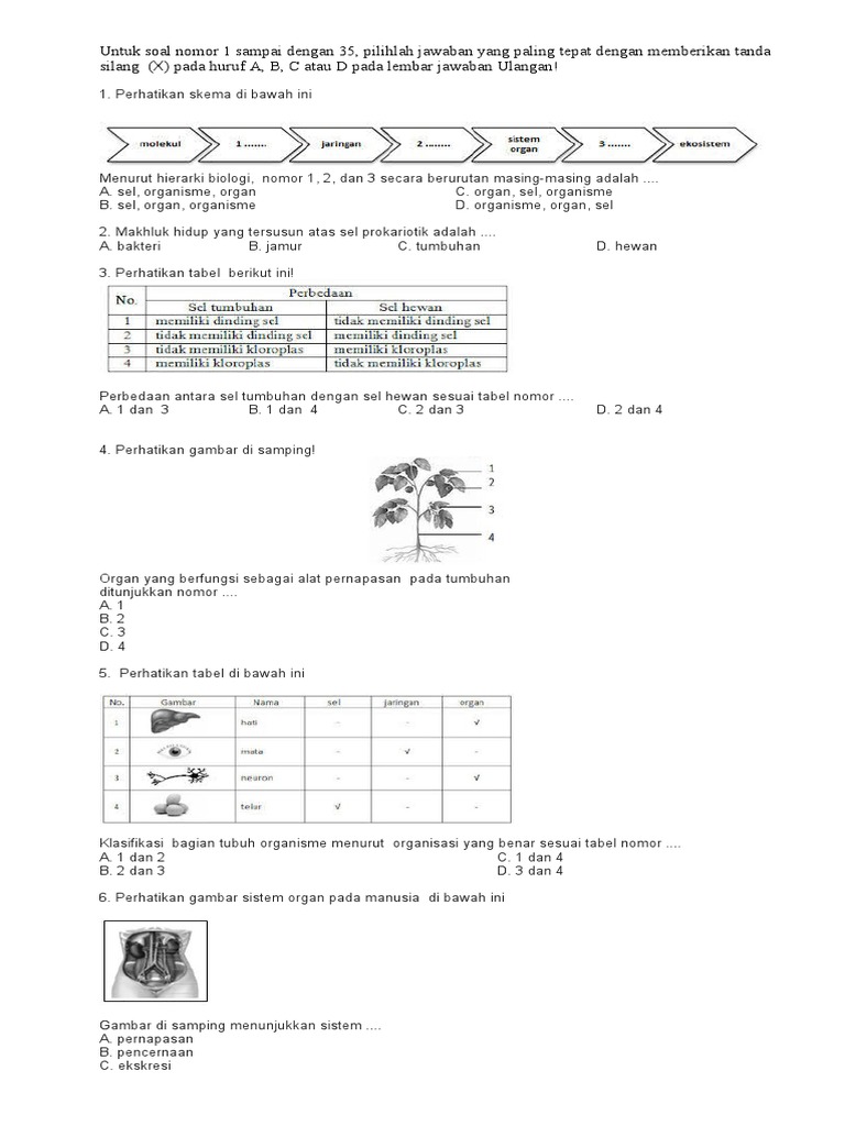 SOAL PAT IPA Kelas 7 2023 | PDF