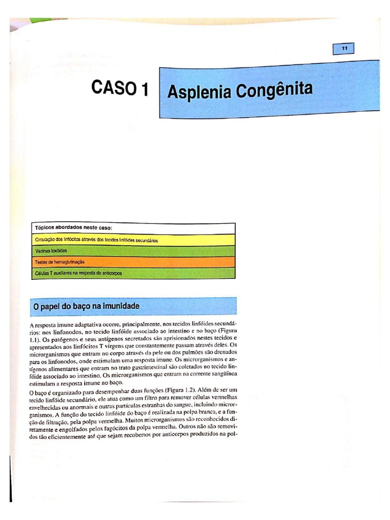 CC1 Asplenia Congênita | PDF