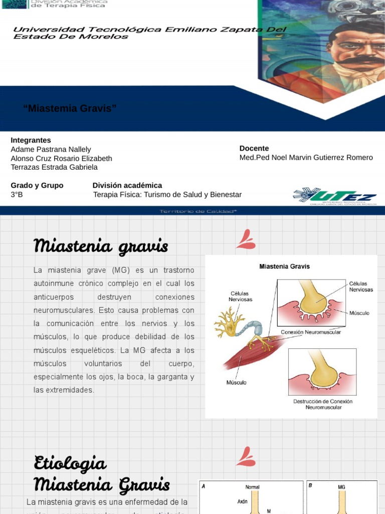 Miastenia Gravis: Diagnóstico y Tratamiento | PDF | Unión neuromuscular | Enfermedades y trastornos
