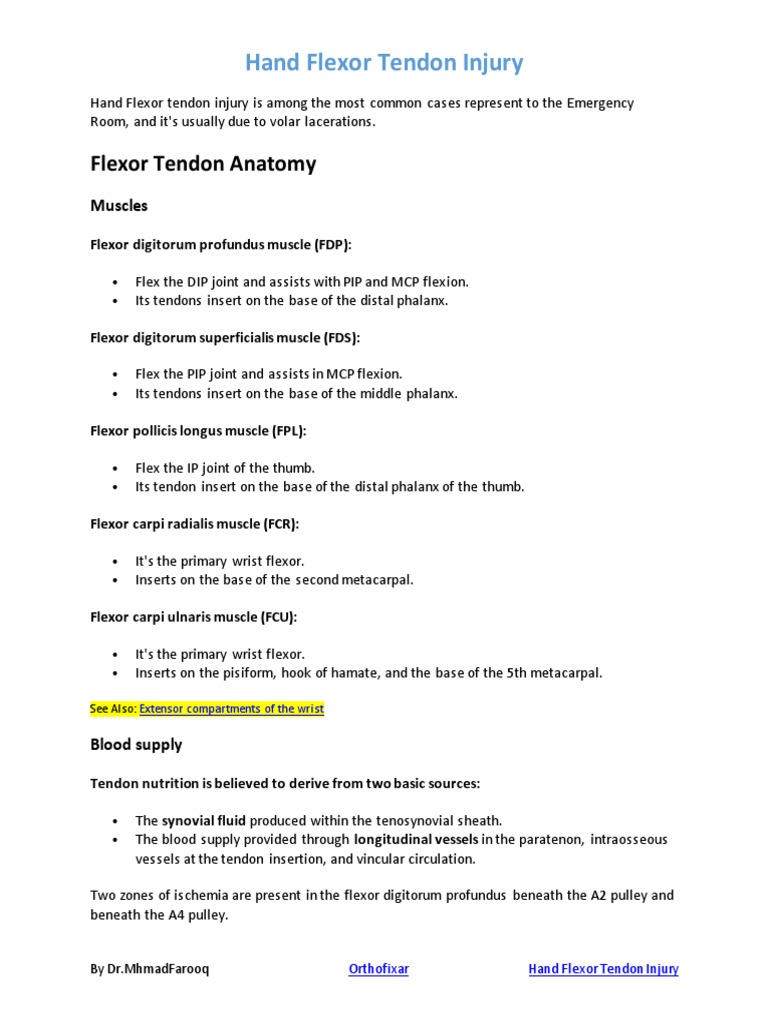 Hand Flexor Tendon Injury Overview | PDF | Hand | Finger