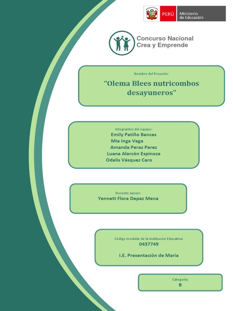 Cat. B - Proyecto de Emprendimiento Nuevo | PDF