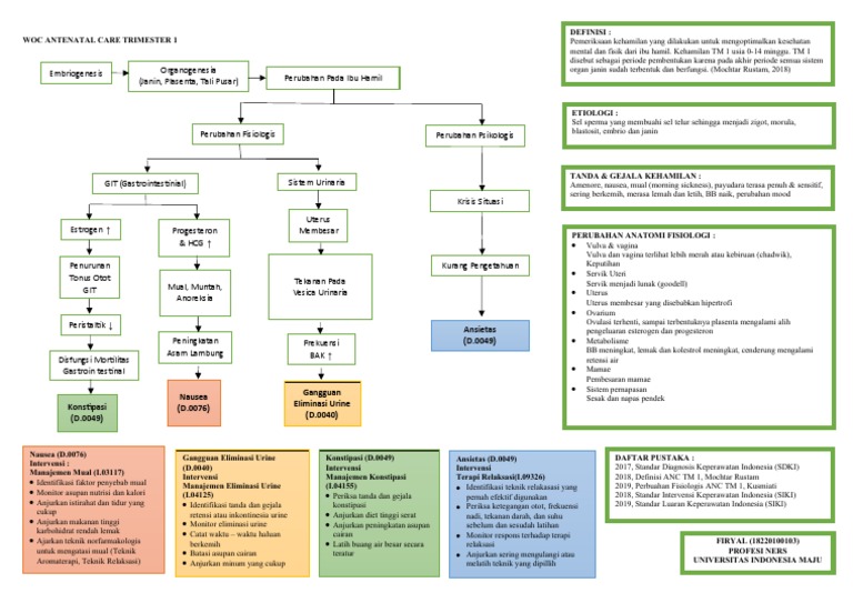 Firyal Maternitas Woc Anc PKM | PDF