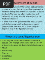 Elephant GI Anatomy & Physiology | PDF | Gastrointestinal Tract | Digestion