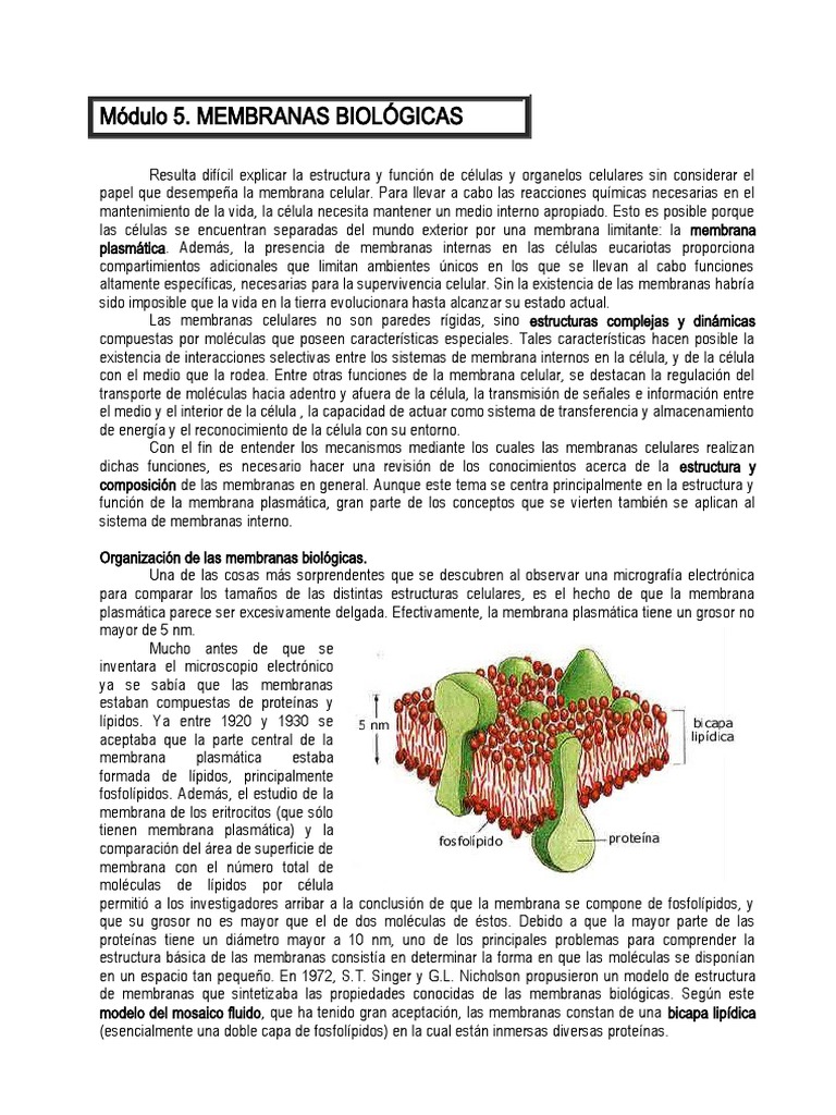 Modulo 05 - Membranas Biologicas | PDF | Membrana celular | Bicapa lipídica