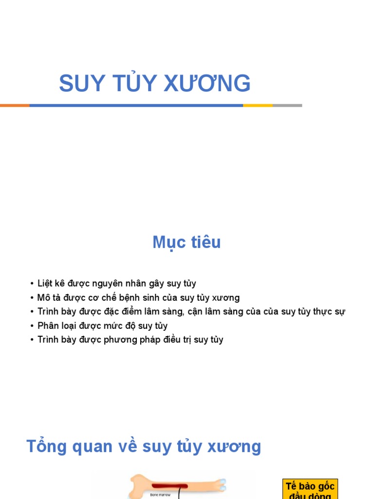 Suy T y Xương | PDF