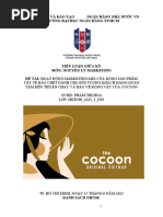 Giới thiệu công ty cocoon | PDF