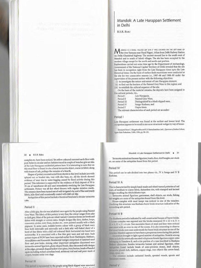 Mandoli and Bhorgarh Reports | PDF