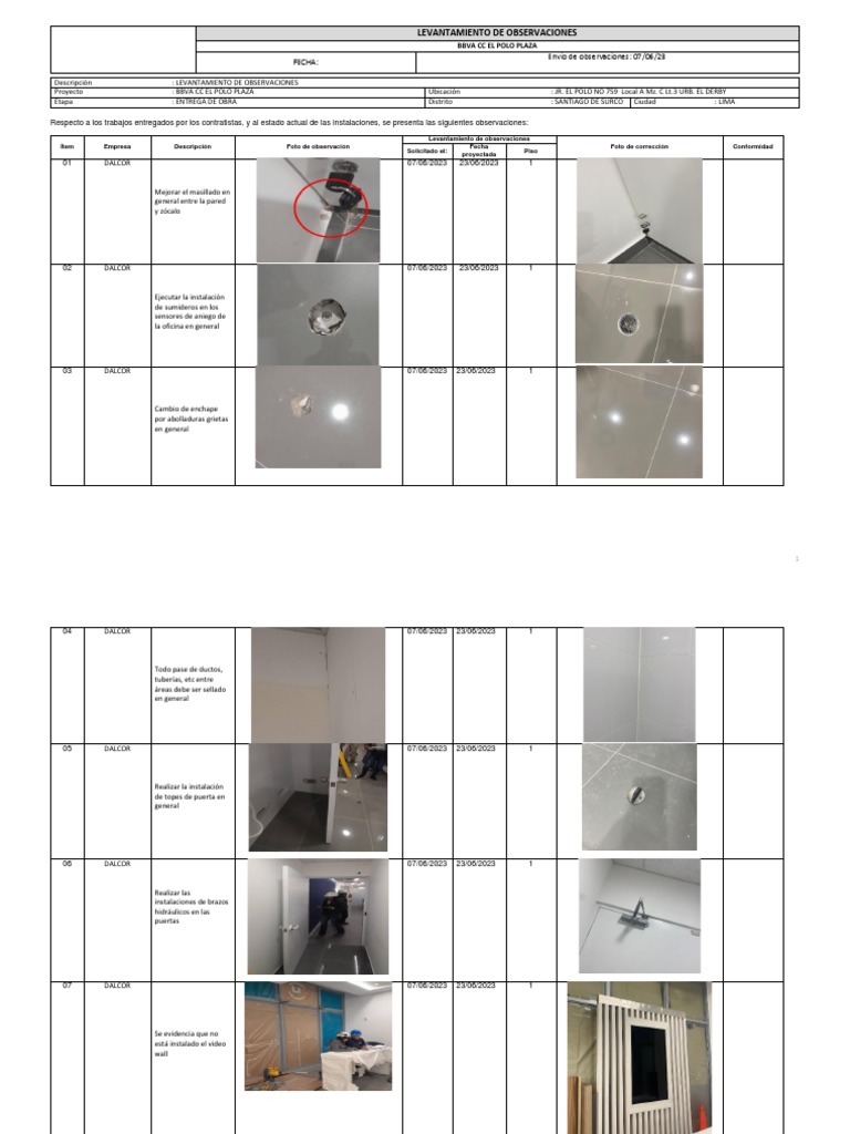 Informe Levantamiento de Observaciones | PDF