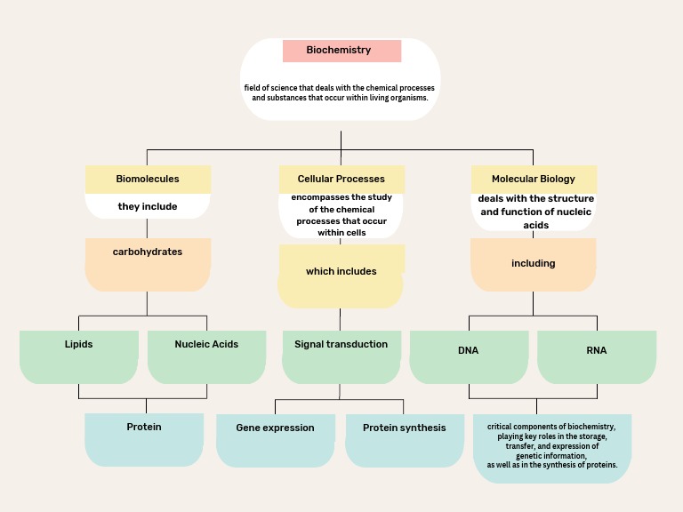 Biochemistry Concept Map | PDF