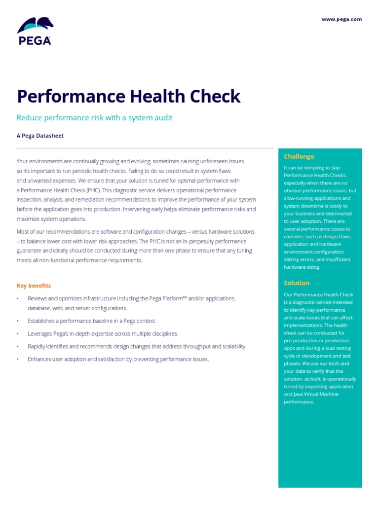 Performance Health Check | PDF | Business | Computer Engineering