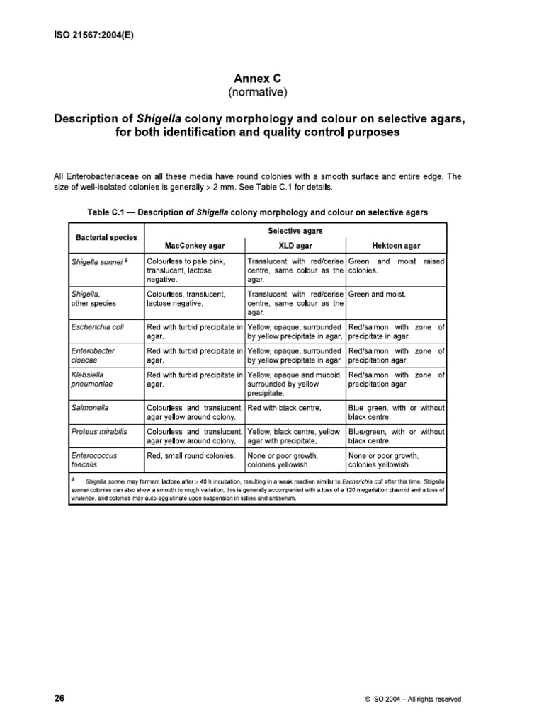 Iso 21567 - XLD | PDF