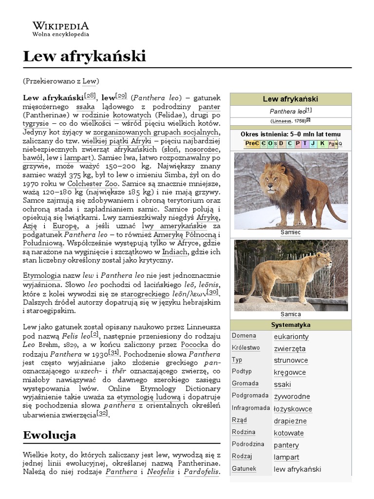 Lew Afrykański – Wikipedia, Wolna Encyklopedia | PDF