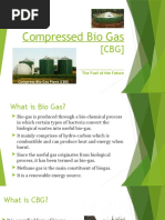 Bio-CNG and Bio-Fertilizer Project Report | PDF | Debt | Biogas