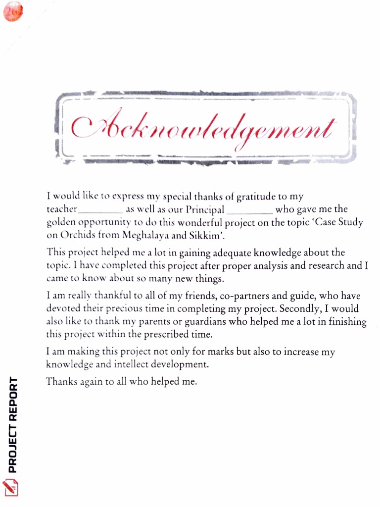 Acknowledgement Samples For English Pw Pdf Cognition