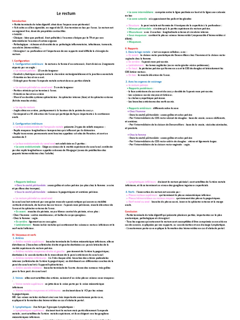 Le Rectum | PDF