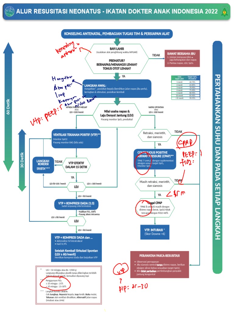 alur resusitasi neonatus IDAI 2022 [Recovered] (1) | PDF