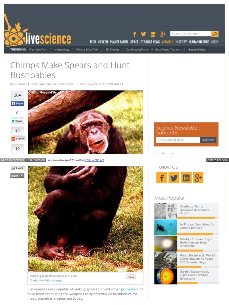 (PDF) Livescience - Chimps Make Spears and Hunt Bushbabies | PDF ...