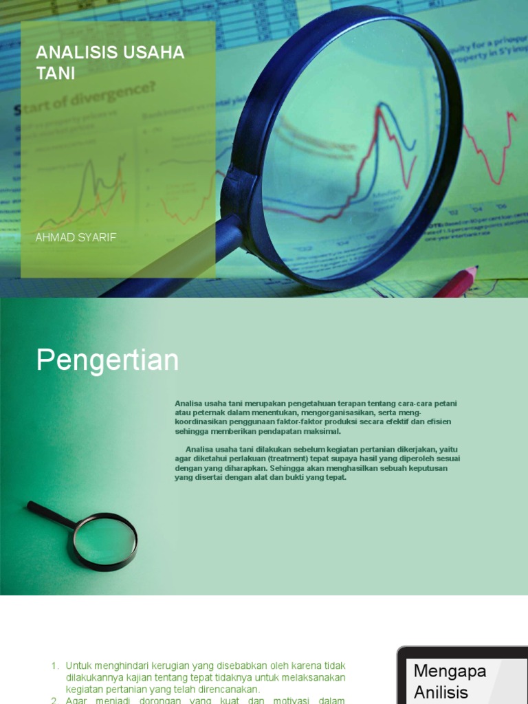 Analisis Usaha Tani Ahmad Syarif | PDF