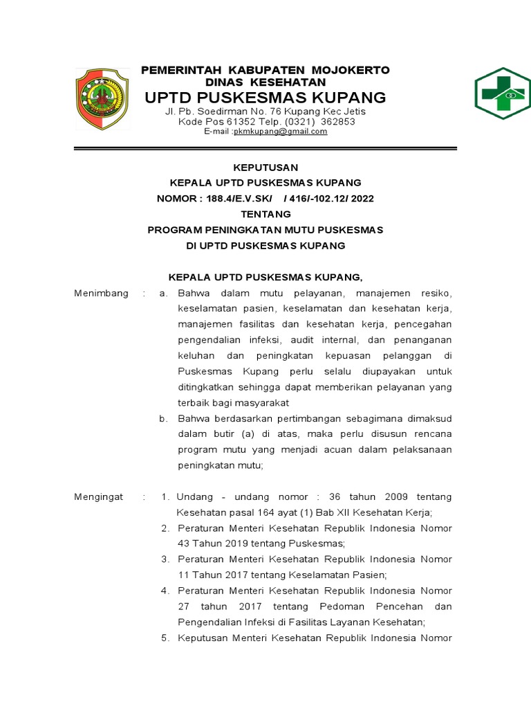 SK Program Peningkatan Mutu Puskesmas | PDF