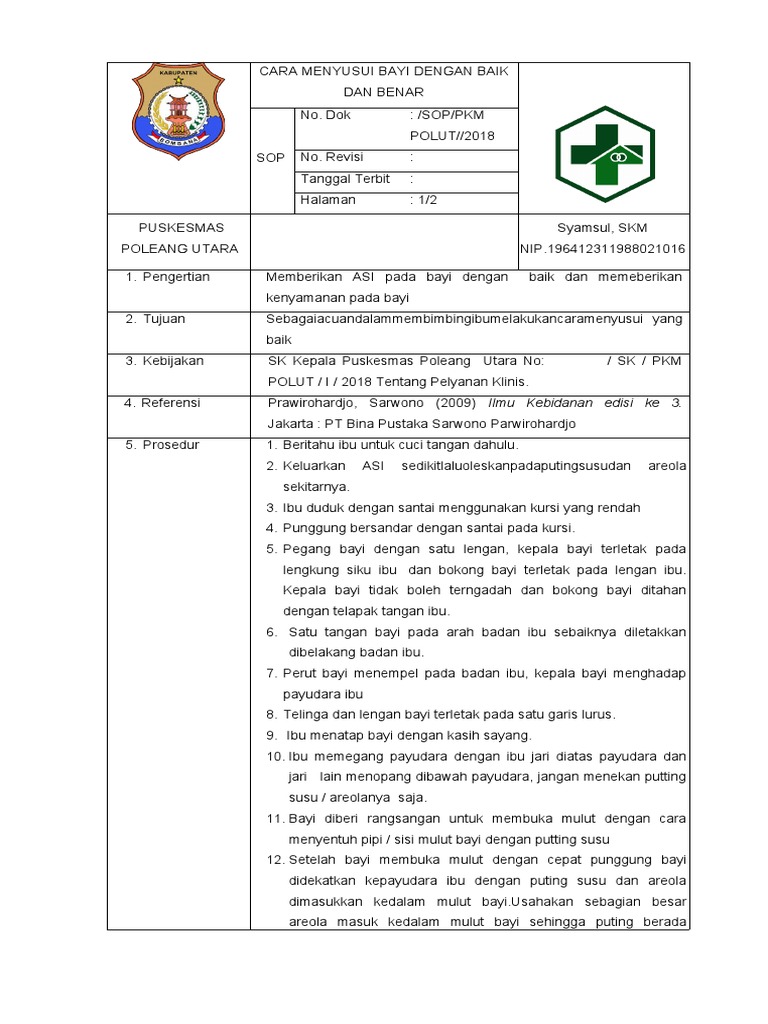 Sop Cara Menyusui Yang Benar | PDF | Kesehatan Holistik
