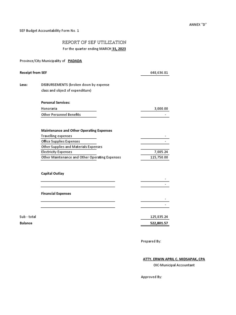 Full Disclosure Lgu Padada | PDF | Corporations | Economies