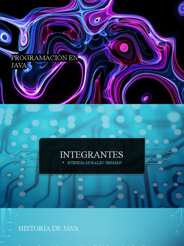 JAVA Porgramacion | PDF | Java (lenguaje de programación) | Tipo de datos