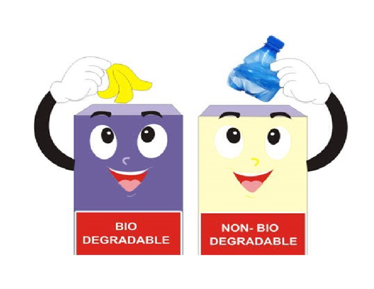 Biodegradable and Non Biogradeable | PDF