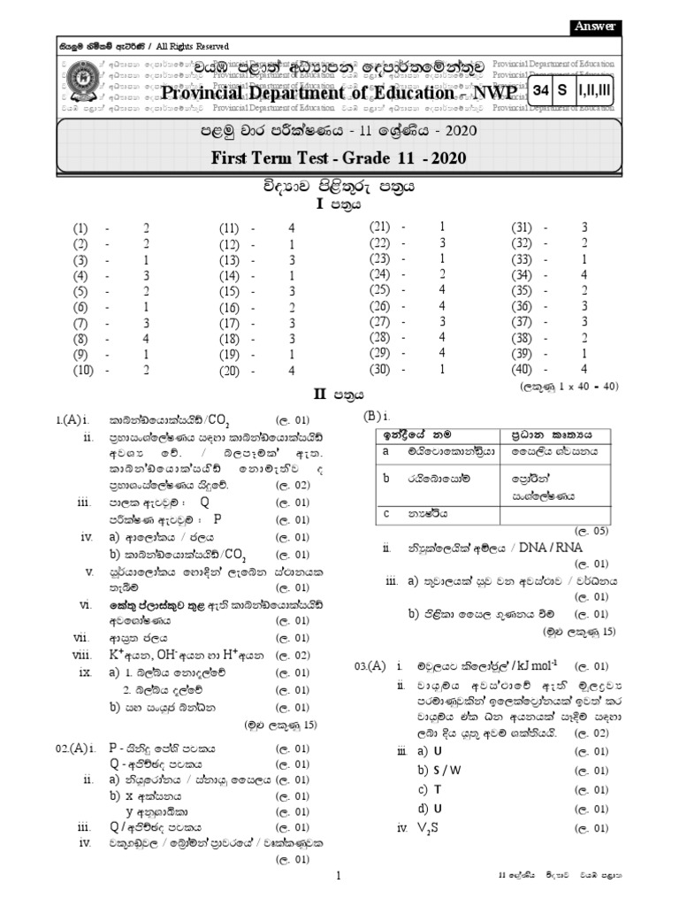 Grade 11 Science Answer (S) | PDF