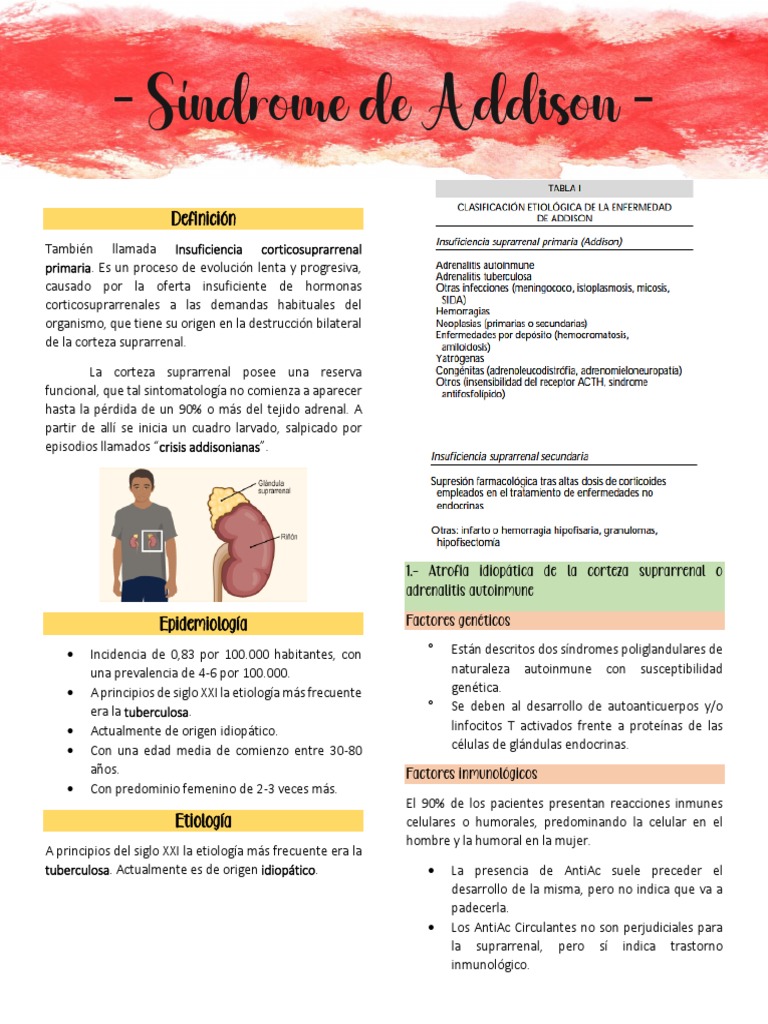 Síndrome de Addison | PDF | Glándula suprarrenal | Hormona ...