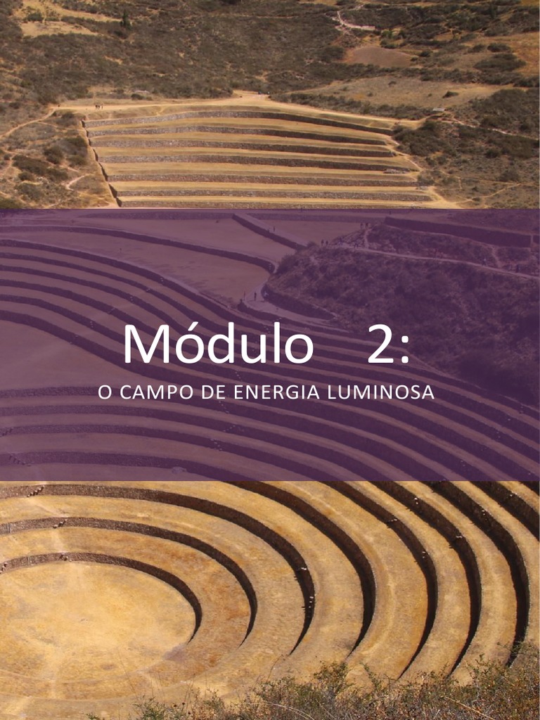 Workbook 02 - O Campo de Energia Luminosa | PDF | Chacra | Morte