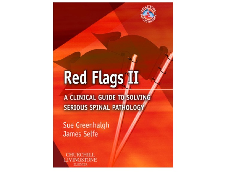 Red Flags Book 2 Cover | PDF