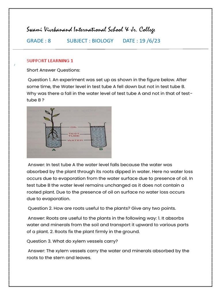S L Grade 8 Biology | PDF | Osmosis | Root