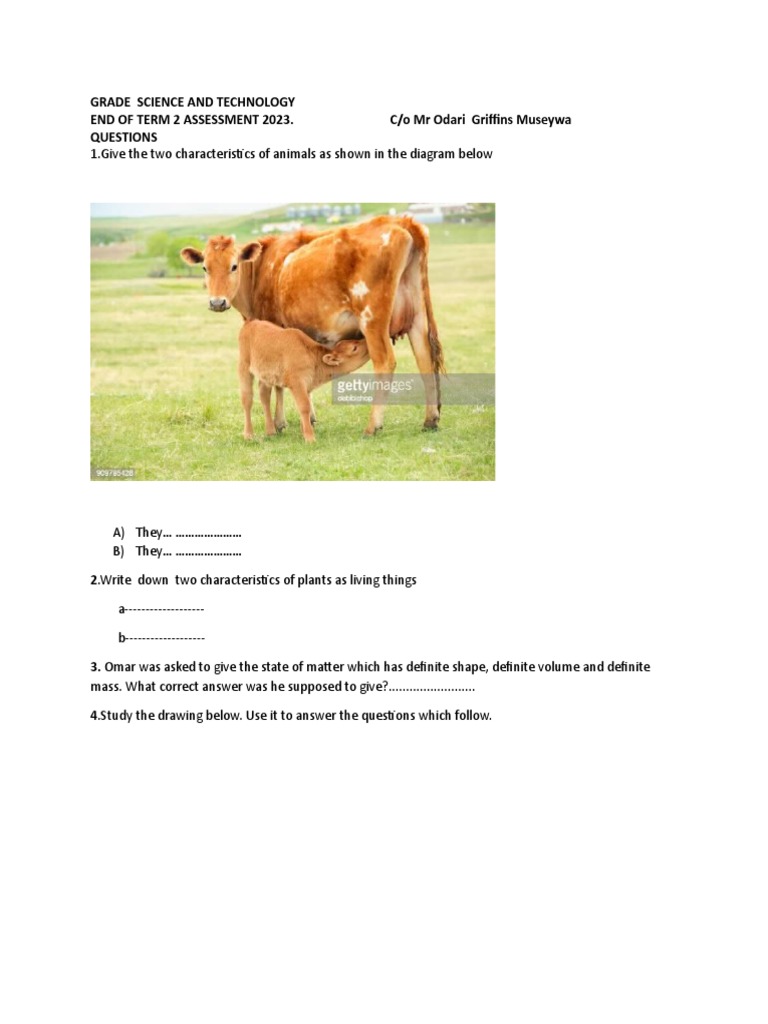 Grade 5 Science and Technology | PDF