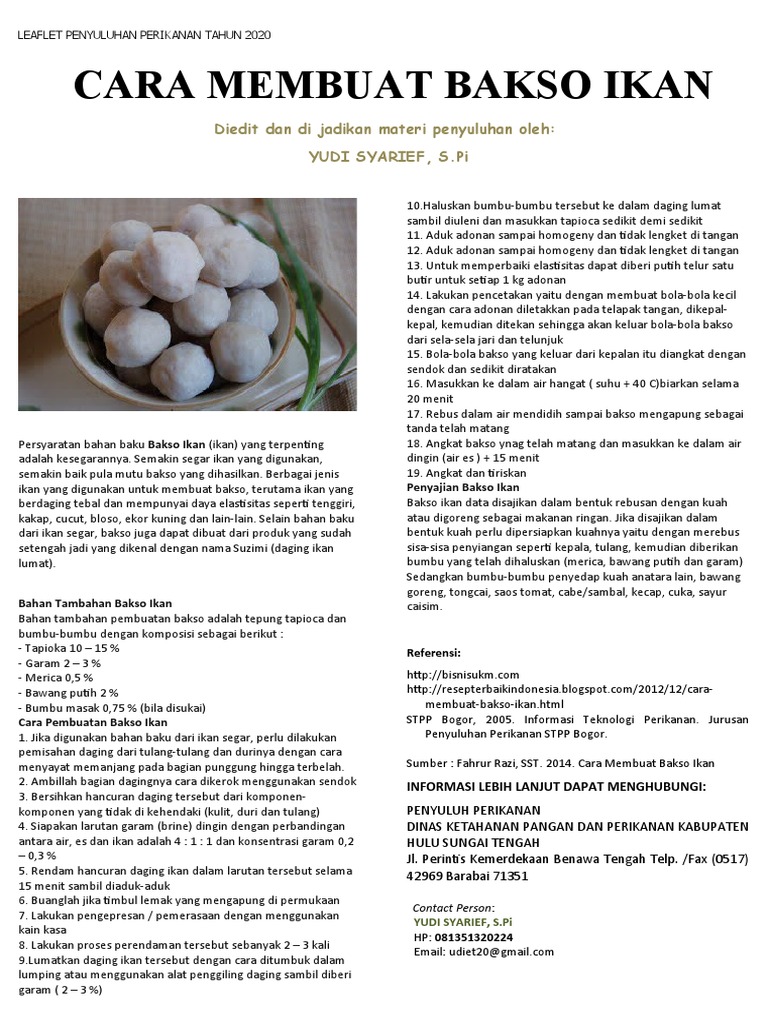Panduan Lengkap Membuat Bakso Ikan | PDF