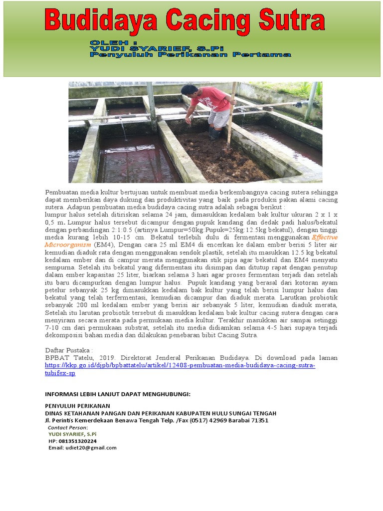 Media Budidaya Cacing Sutra | PDF