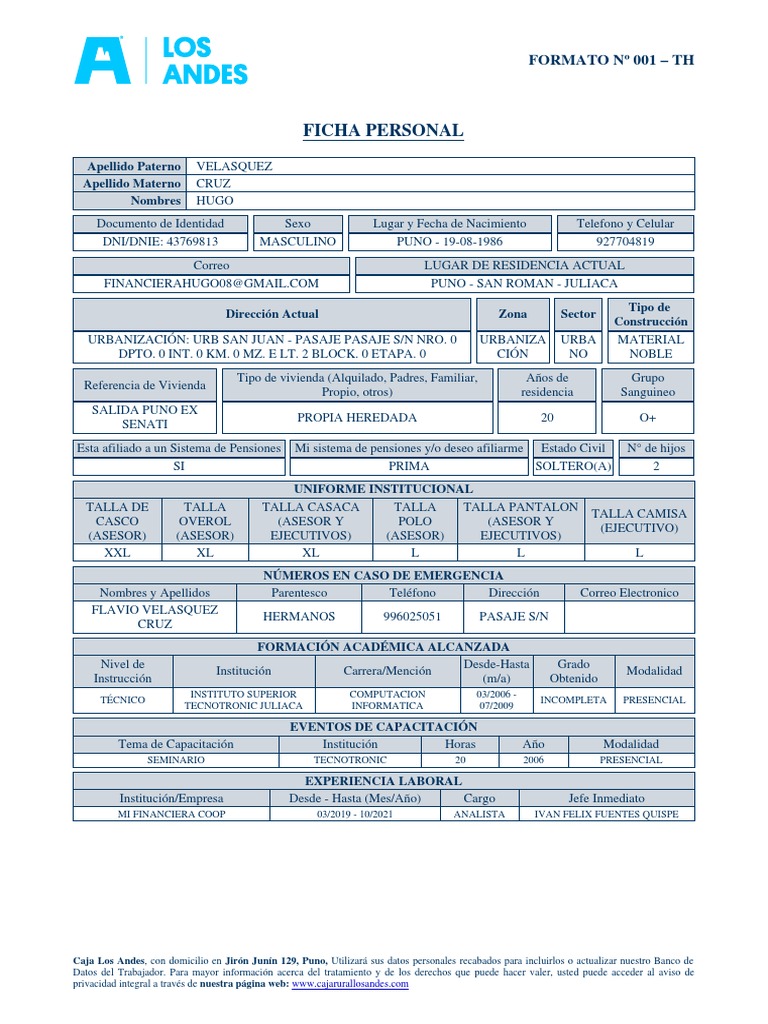 Formatos - Formato 01 | PDF