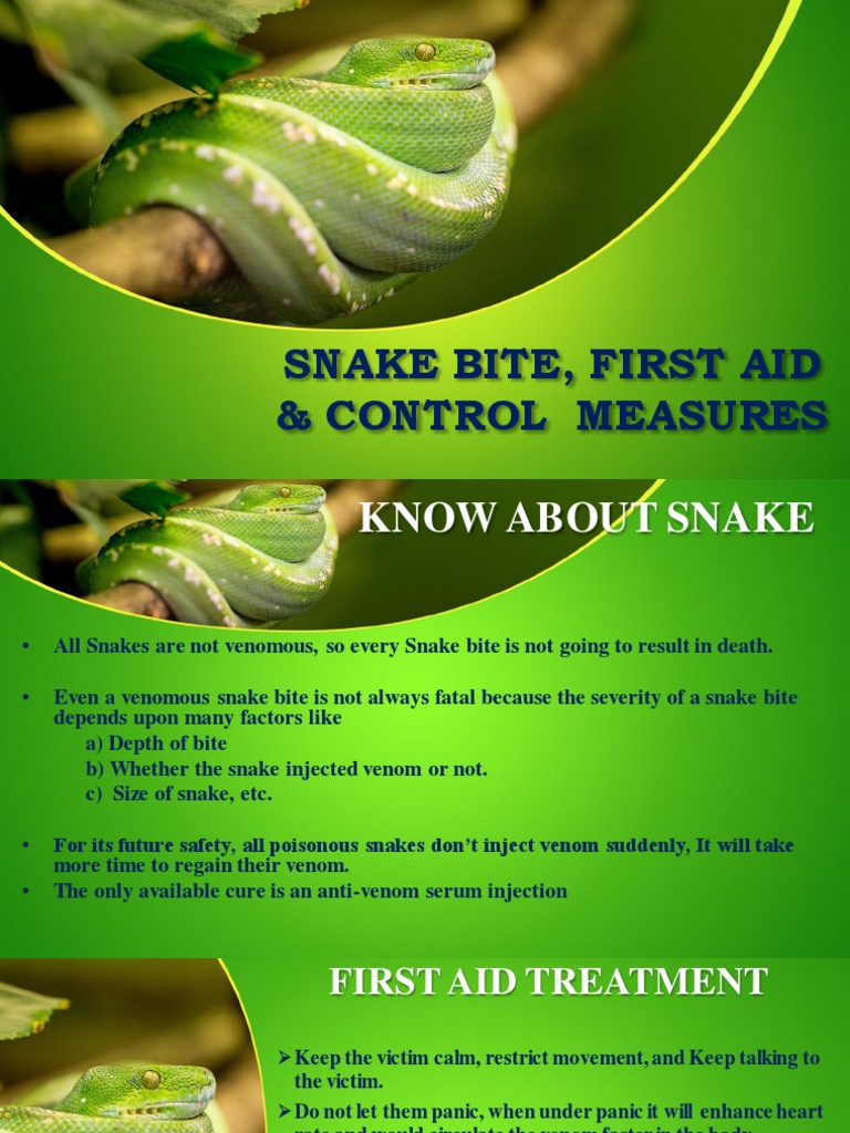 Snake Bite First Aid & Prevention Guide | PDF | Wellness | Science ...