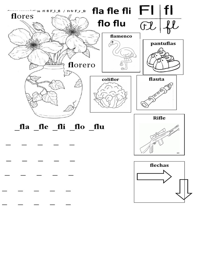 Actividades FL FR | PDF