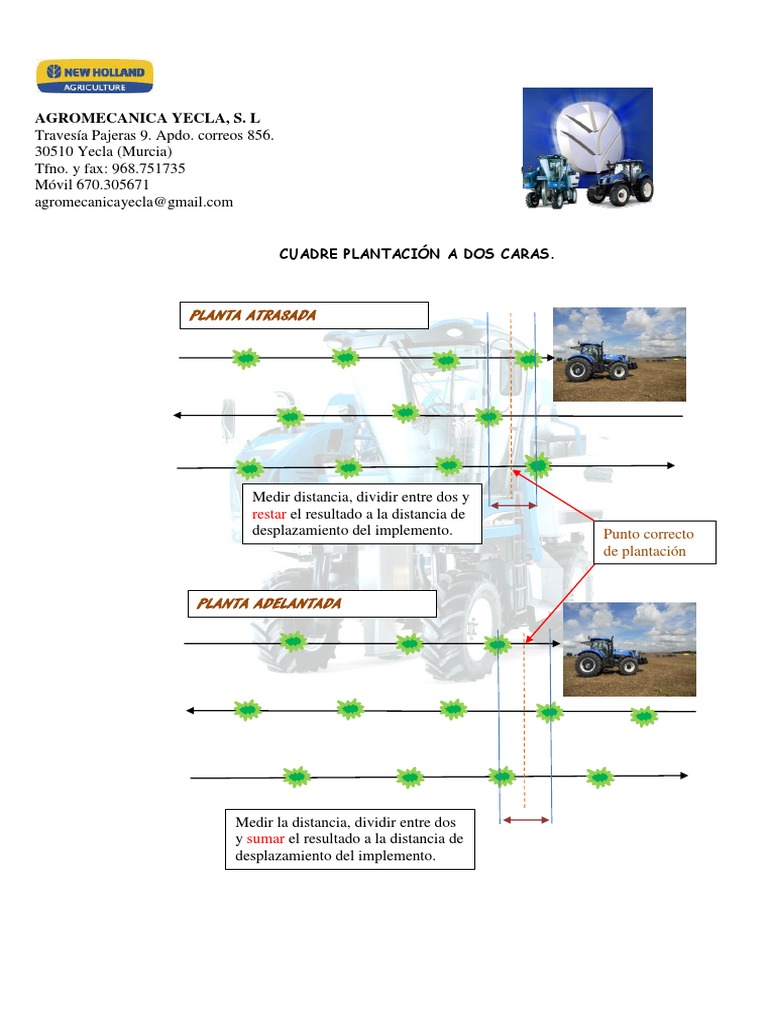 Cuadre Plantación A Dos Caras | PDF