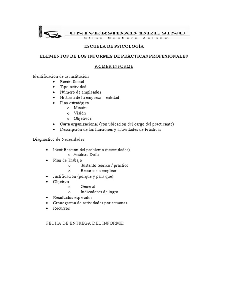 Formato Informes de Practicas Profesionales 1 - 2008 | PDF | Business