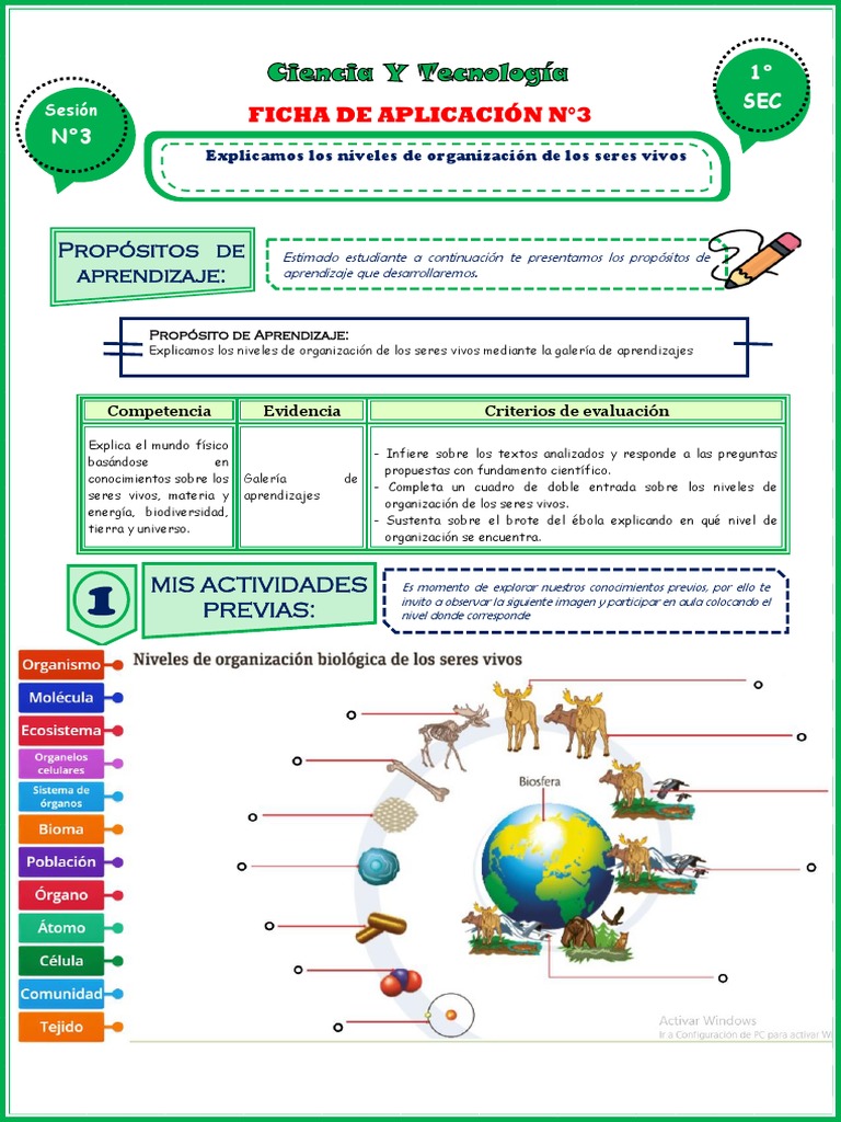 Niveles de Organización de Los SS - VV | PDF | Virus | Aprendizaje