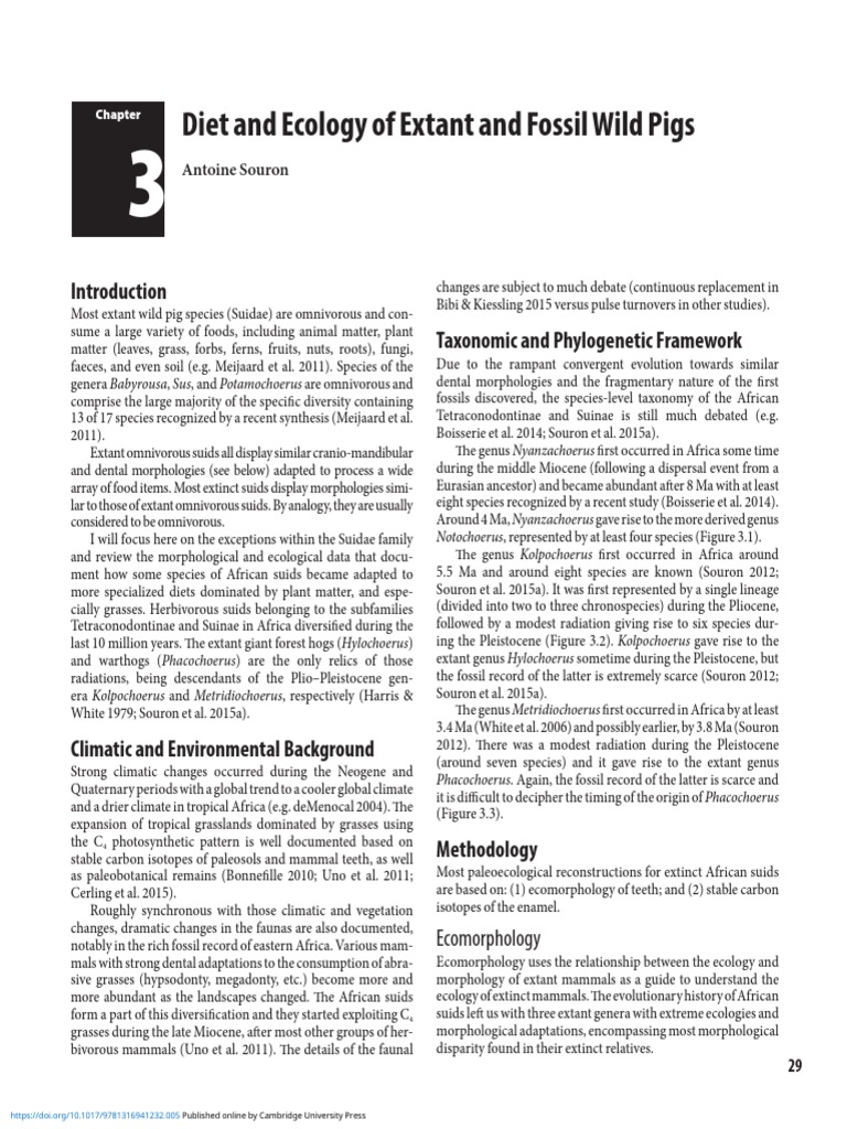 Diet and Ecology of Extant and Fossil Wild Pigs | PDF | Plants | Herbivore