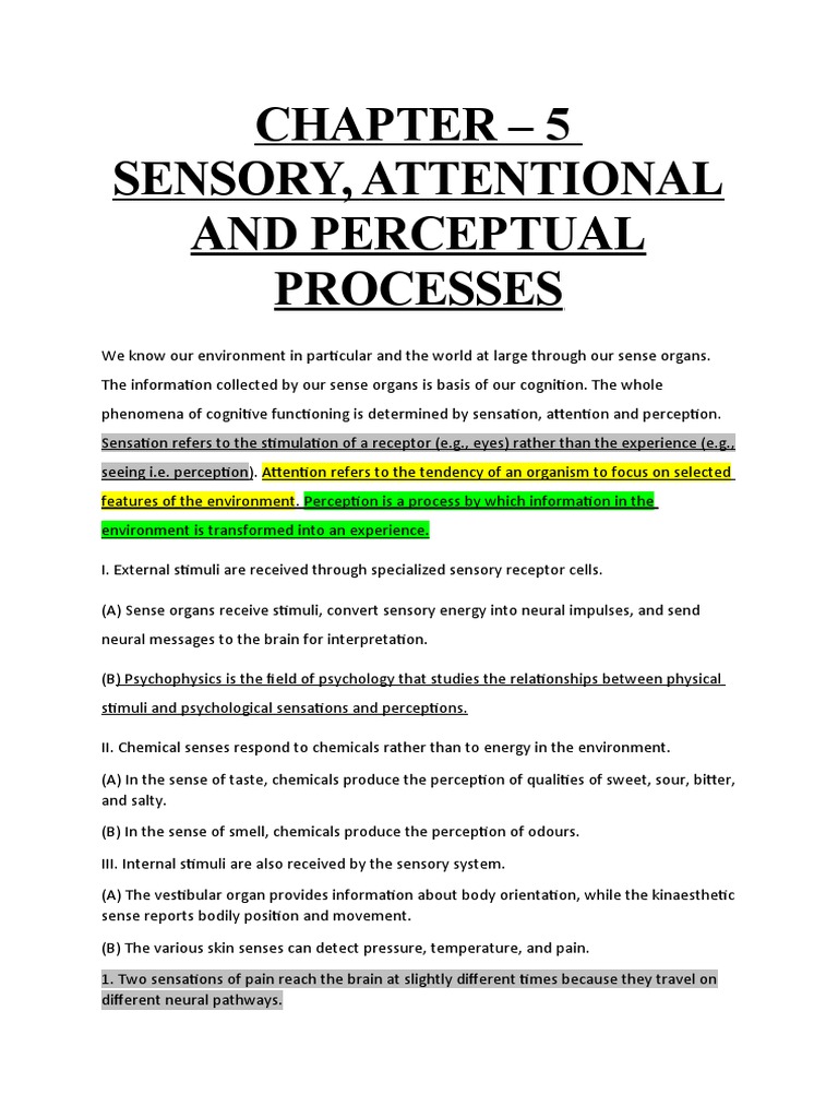 CHAPTER 5 - Sensory Attentional and Perceptual Processes | PDF | Senses | Perception