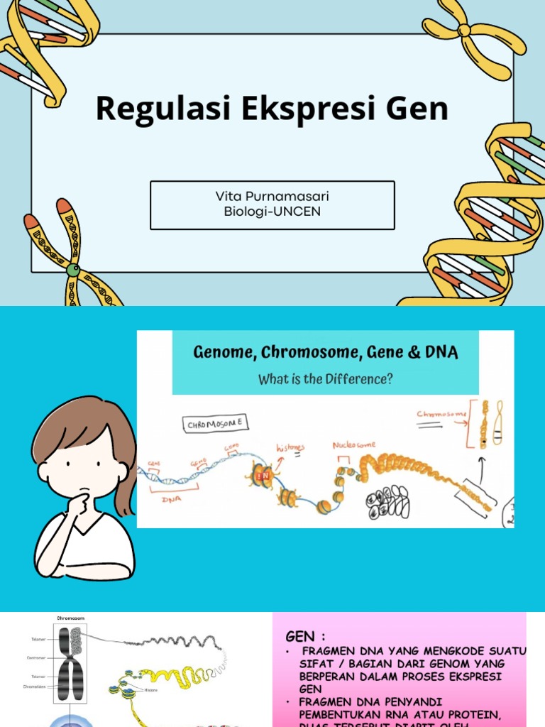 Regulasi Ekspresi Gen | PDF