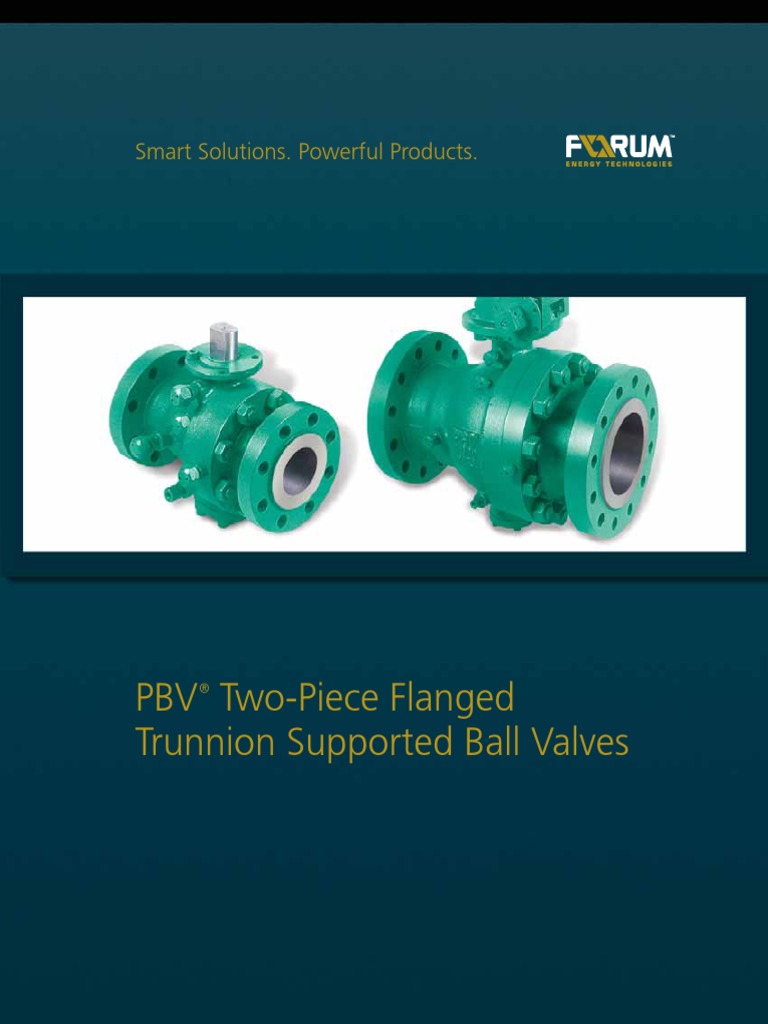 PBV 02 Piece Flanged Trunnion Valve | PDF | Valve | Computer Aided Design