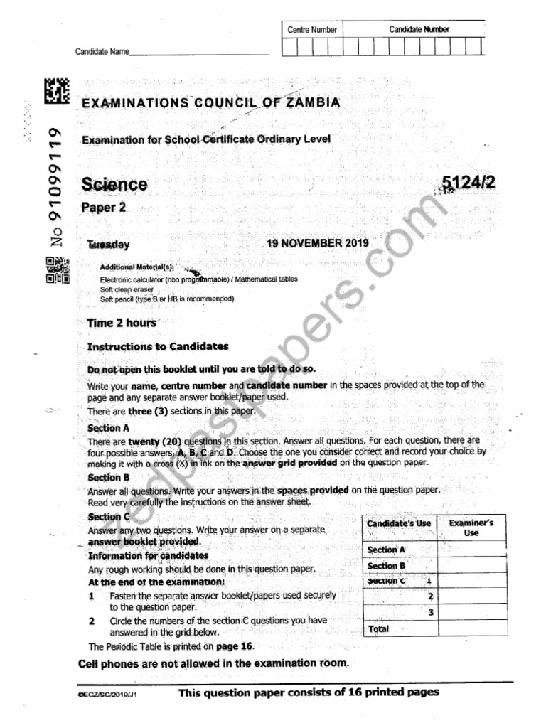g12 Science p2 2019 Internal | PDF