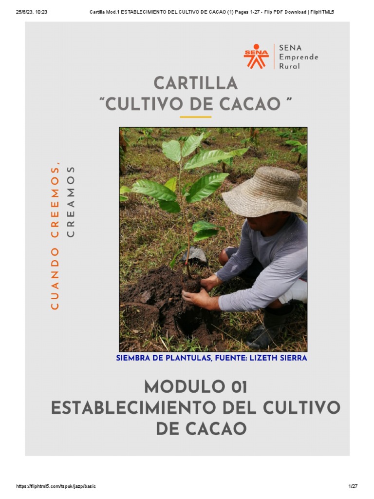 Cartilla Mod.1 ESTABLECIMIENTO DEL CULTIVO DE CACAO | PDF